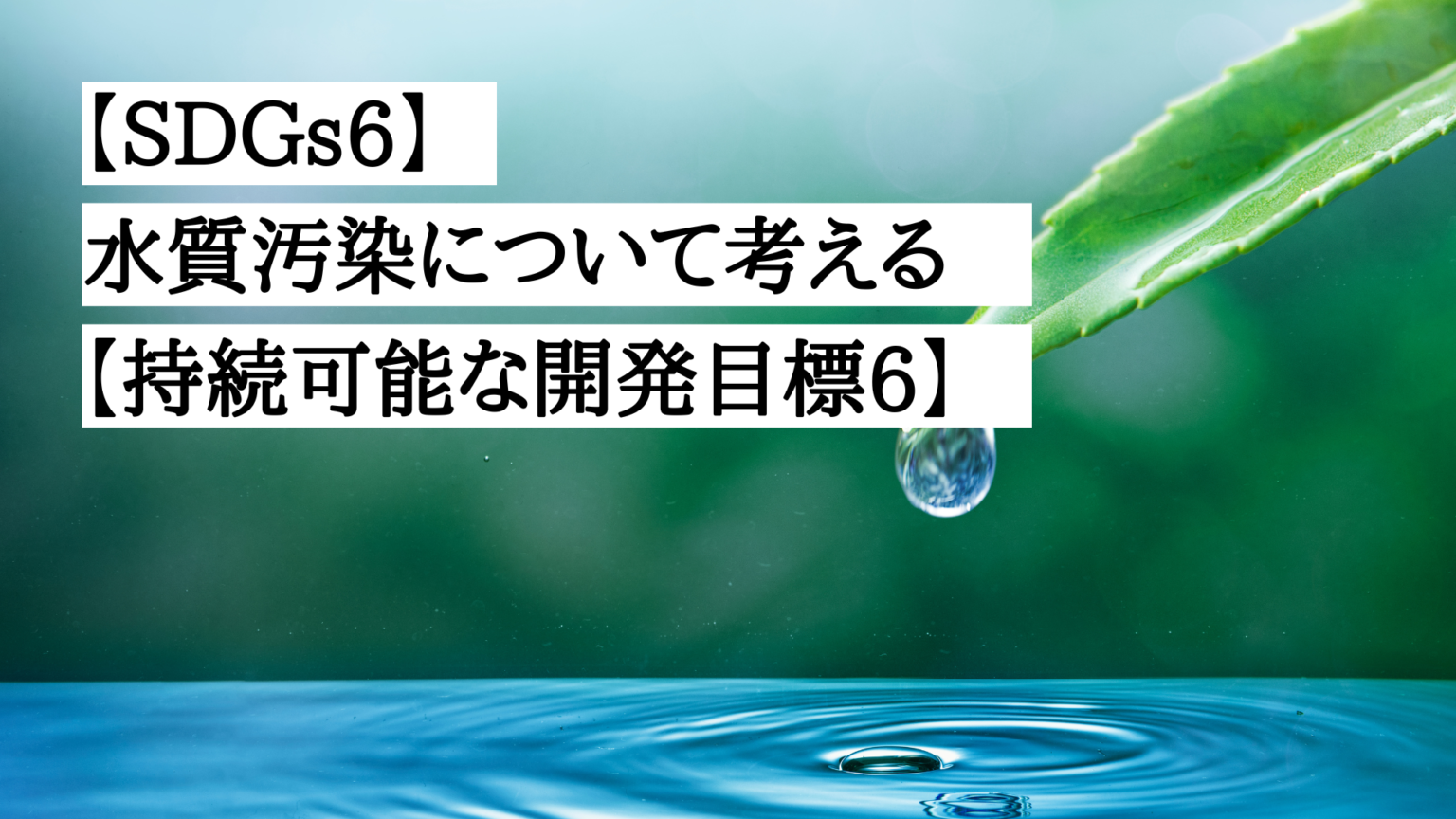 【SDGs6】水質汚染について考える【持続可能な開発目標6】